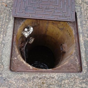 2020 Changes to Septic Tank Operation - The Tank Sampling Company